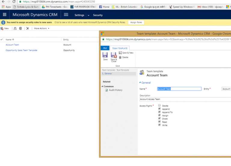 How to Setup Access Teams in Dynamics 365 CRM