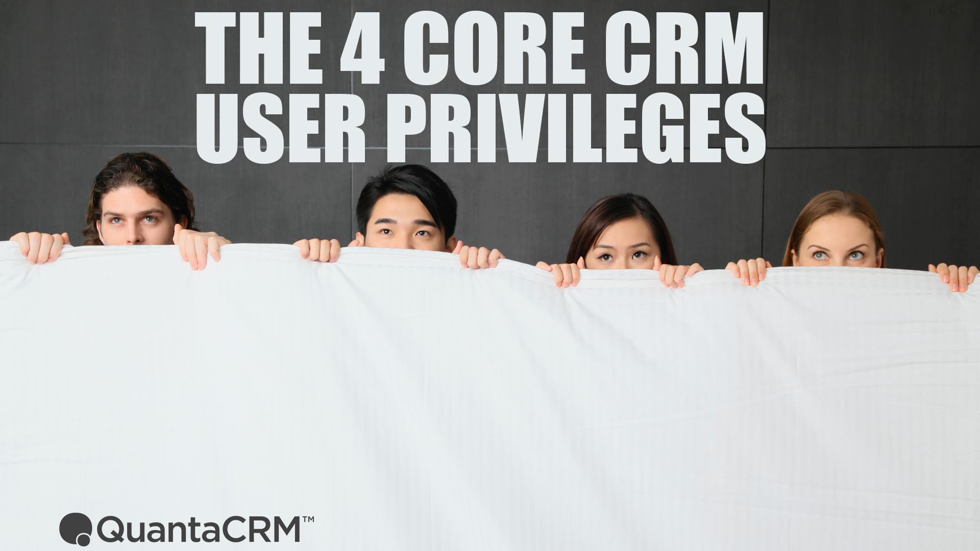 The 4 Core CRM User Privileges - Know Your CRM User Rights! The 4 Core CRM User Privileges - Know Your CRM User Rights!